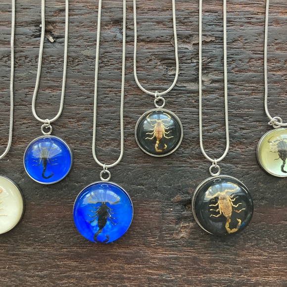 Hand Crafted | Jewelry | Real Scorpion Resin Necklace Pendant Goth ...